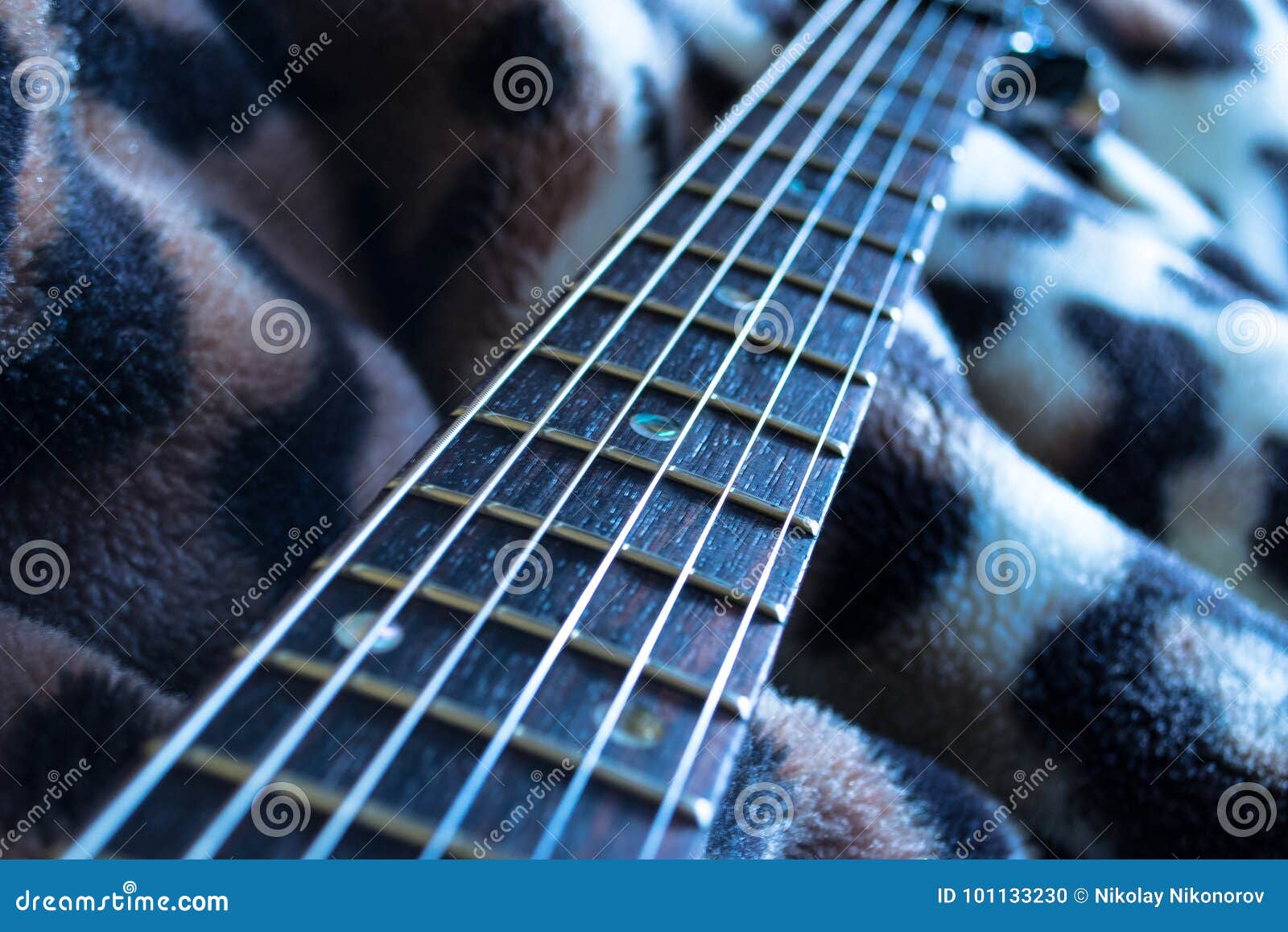 Guitar neck and strings stock photo. Image of detail - 101133230