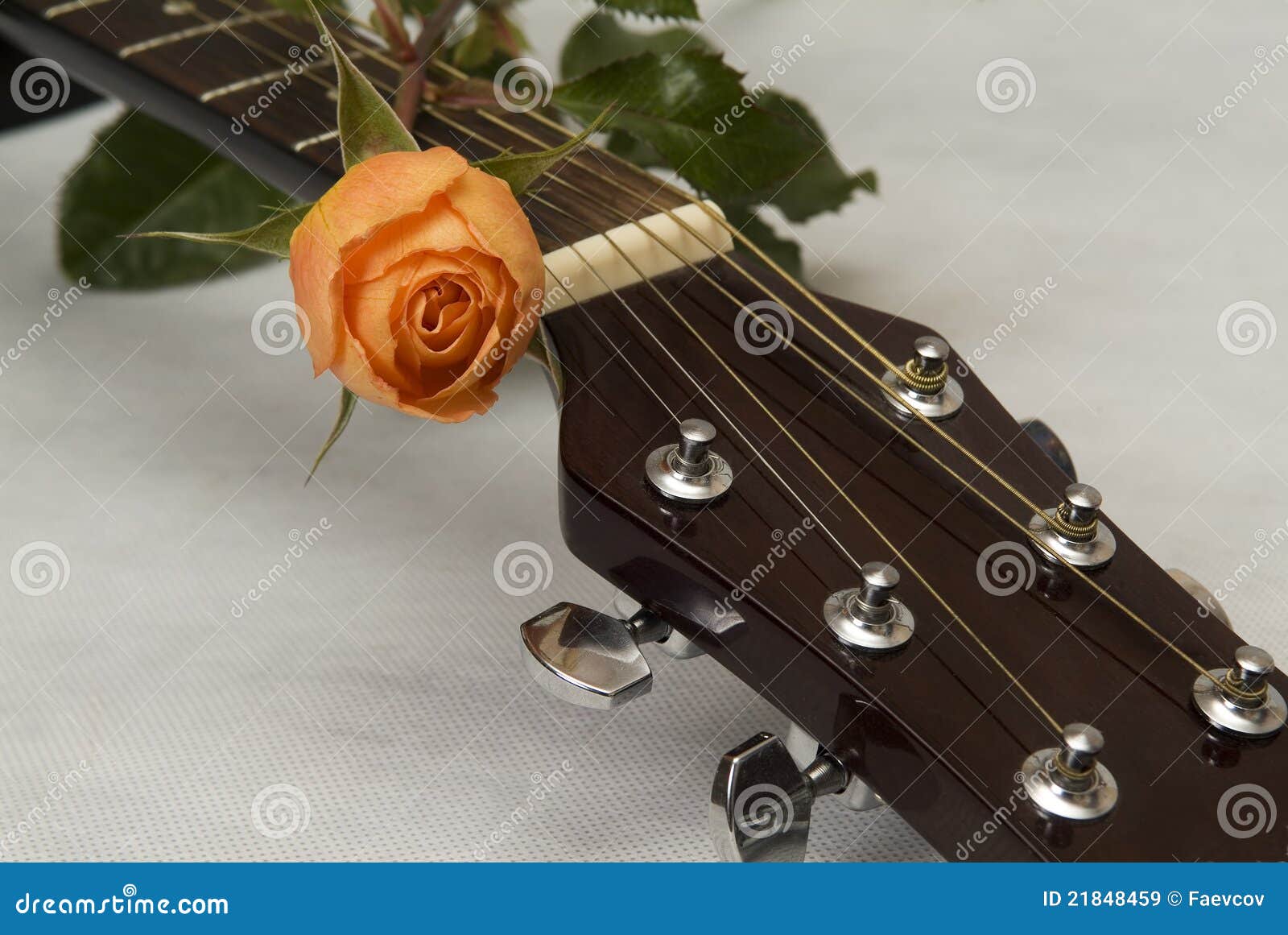 Guitar and Roses stock image. Image of flower, rose, neck - 21848459