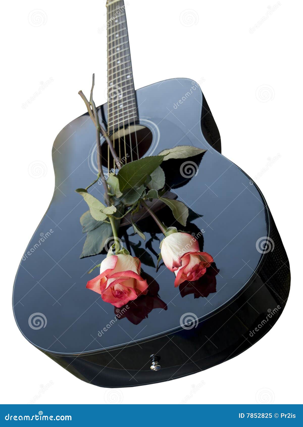 Guitar and roses stock image. Image of guitar, string - 7852825