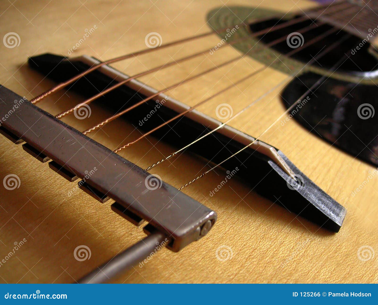 Guitar strings stock photo. Image of perspective, acoustic - 125266