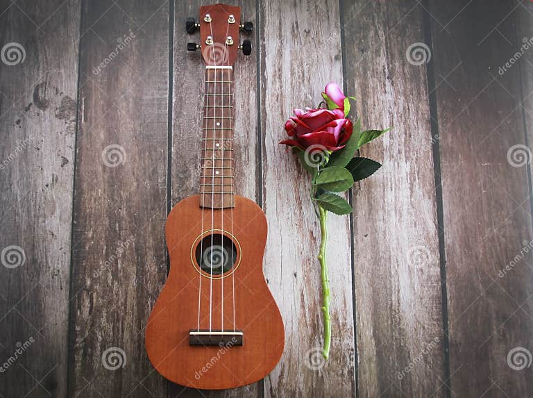 Guitar with Strings and Red a Rose Stock Photo - Image of guitar, chord ...
