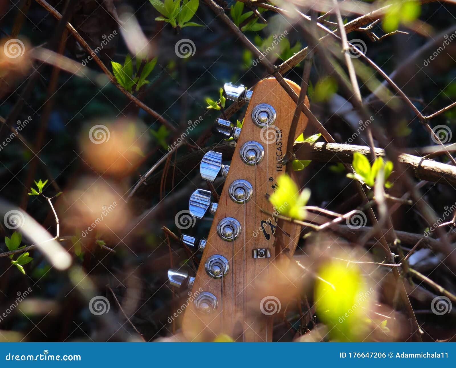 Guitar and trees editorial photo. Image of backround - 176647206