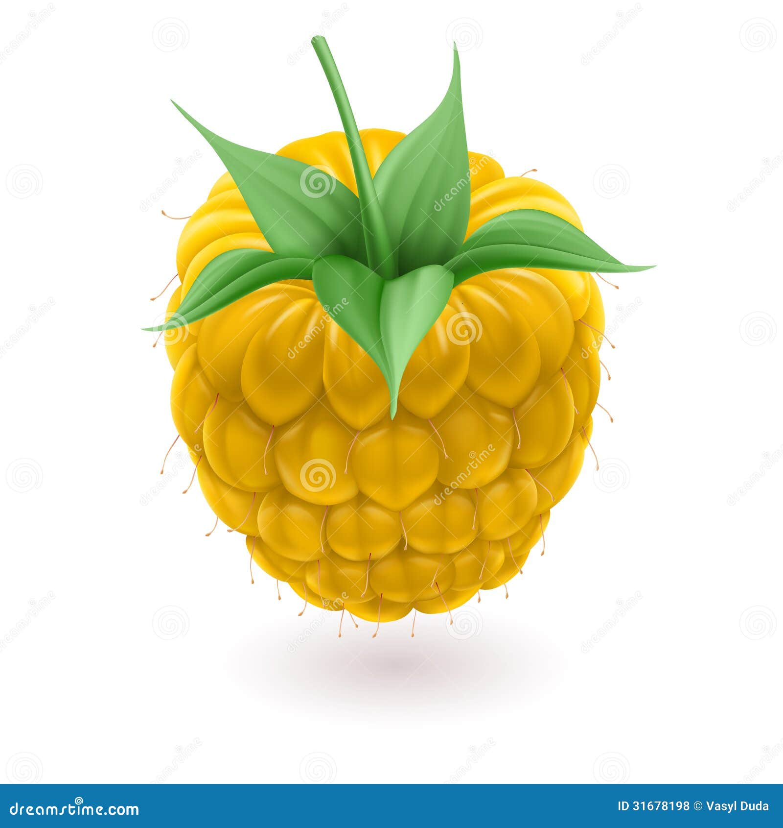 Gula hallon vektor illustrationer. Illustration av natur - 31678198