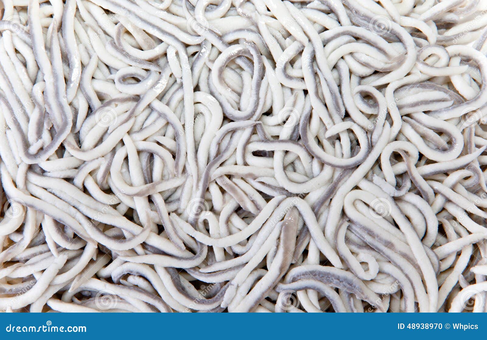 Gulas closeup stock photo. Image of gulas, fish, elver - 48938970