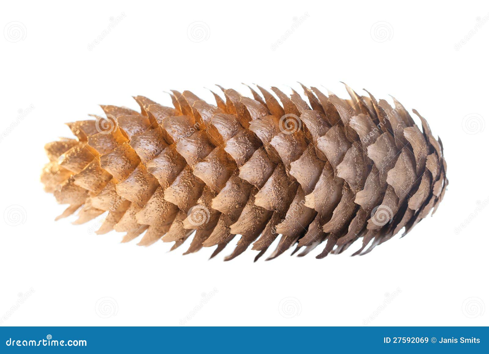 Guld- kotte. fotografering för bildbyråer. Bild av detalj - 27592069