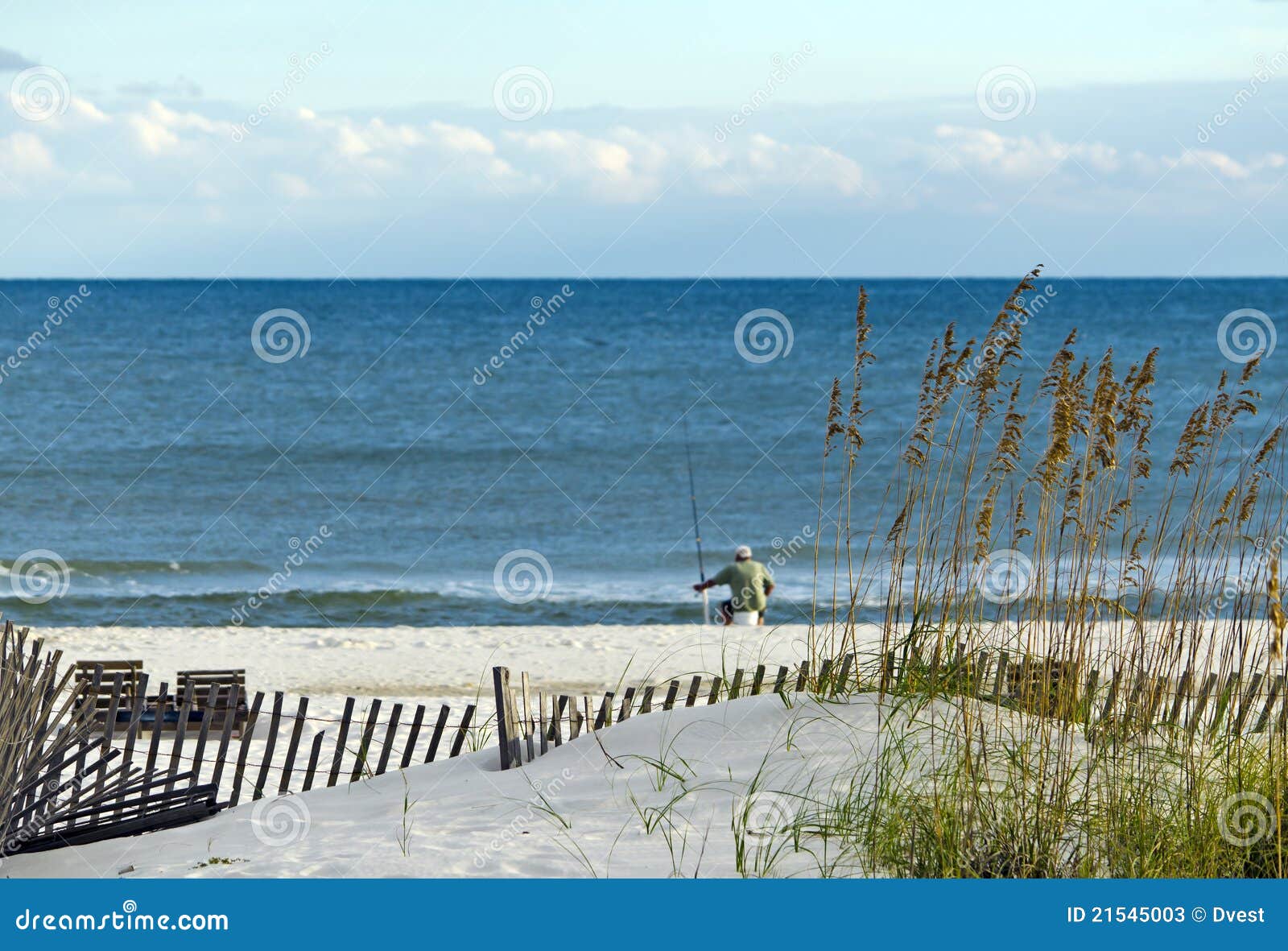 Gulf Coast Scene stock image. Image of shore, water, scenic - 21545003