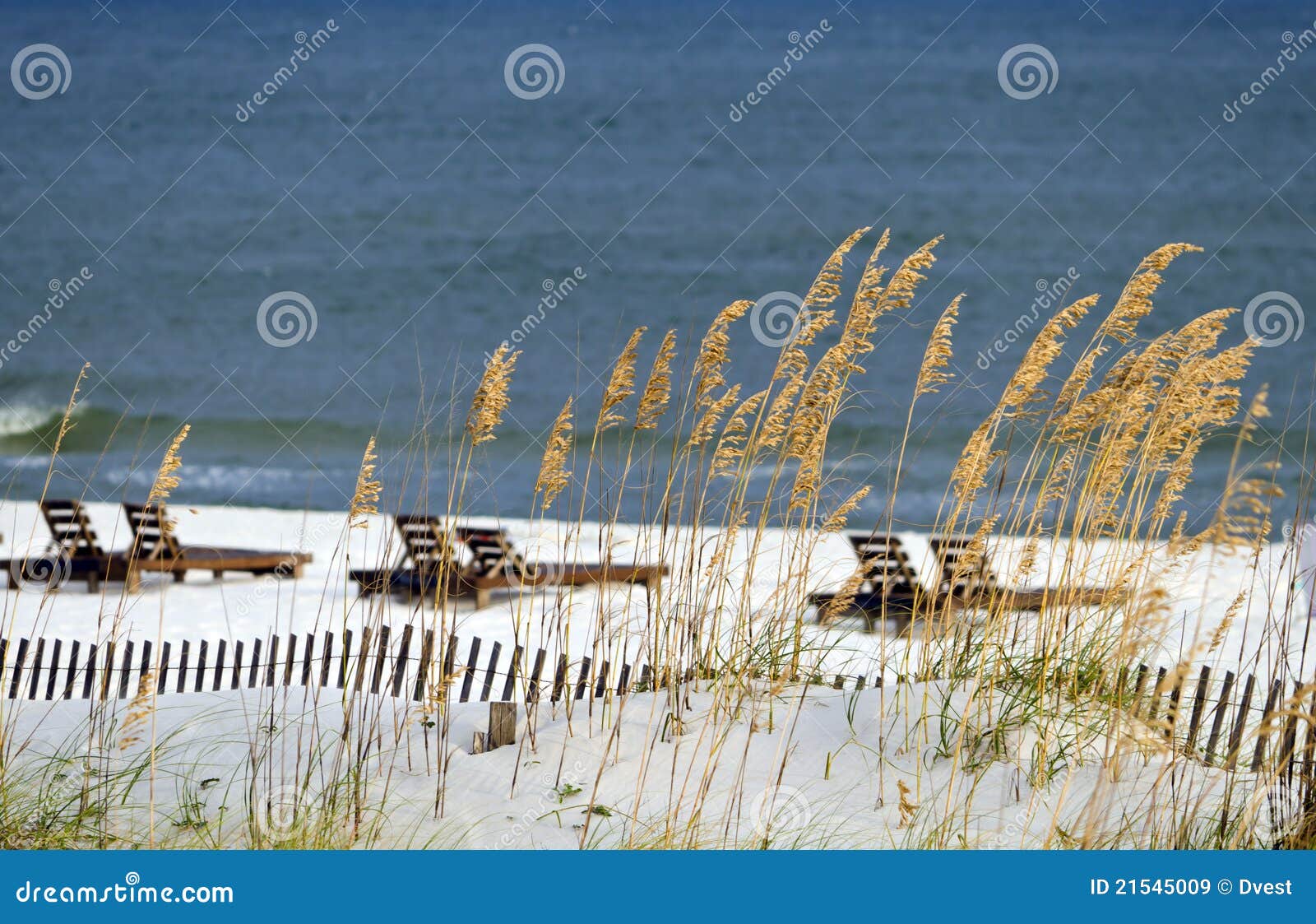 Gulf Coast Scene stock image. Image of sand, shore, travel - 21545009