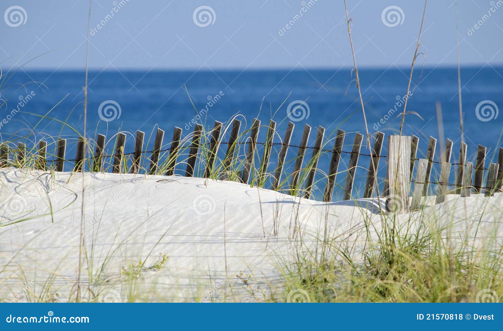 Gulf Coast Scene stock photo. Image of blue, vacation - 21570818