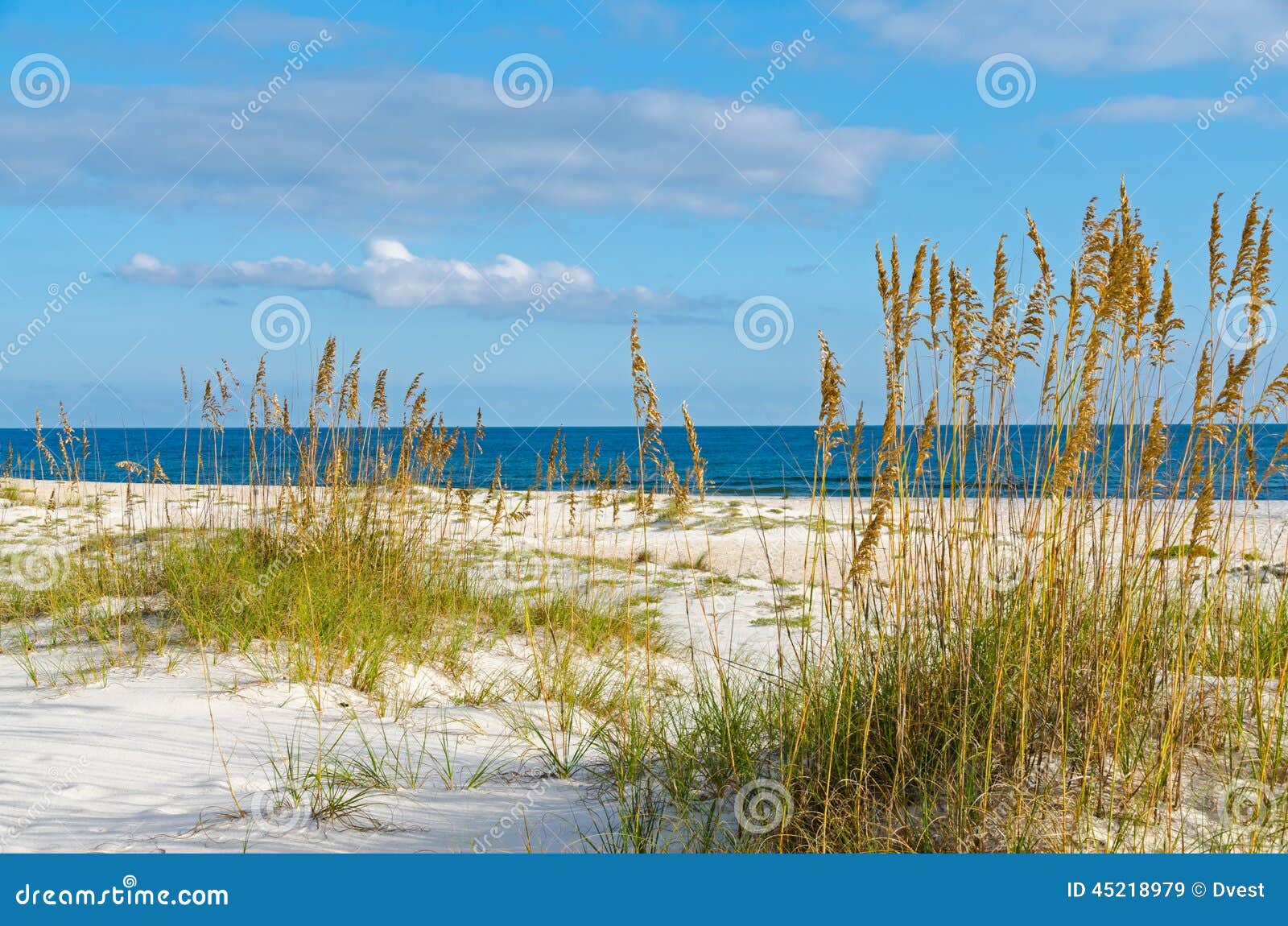 Gulf Coast Scenery stock image. Image of golden, landscape - 45218979