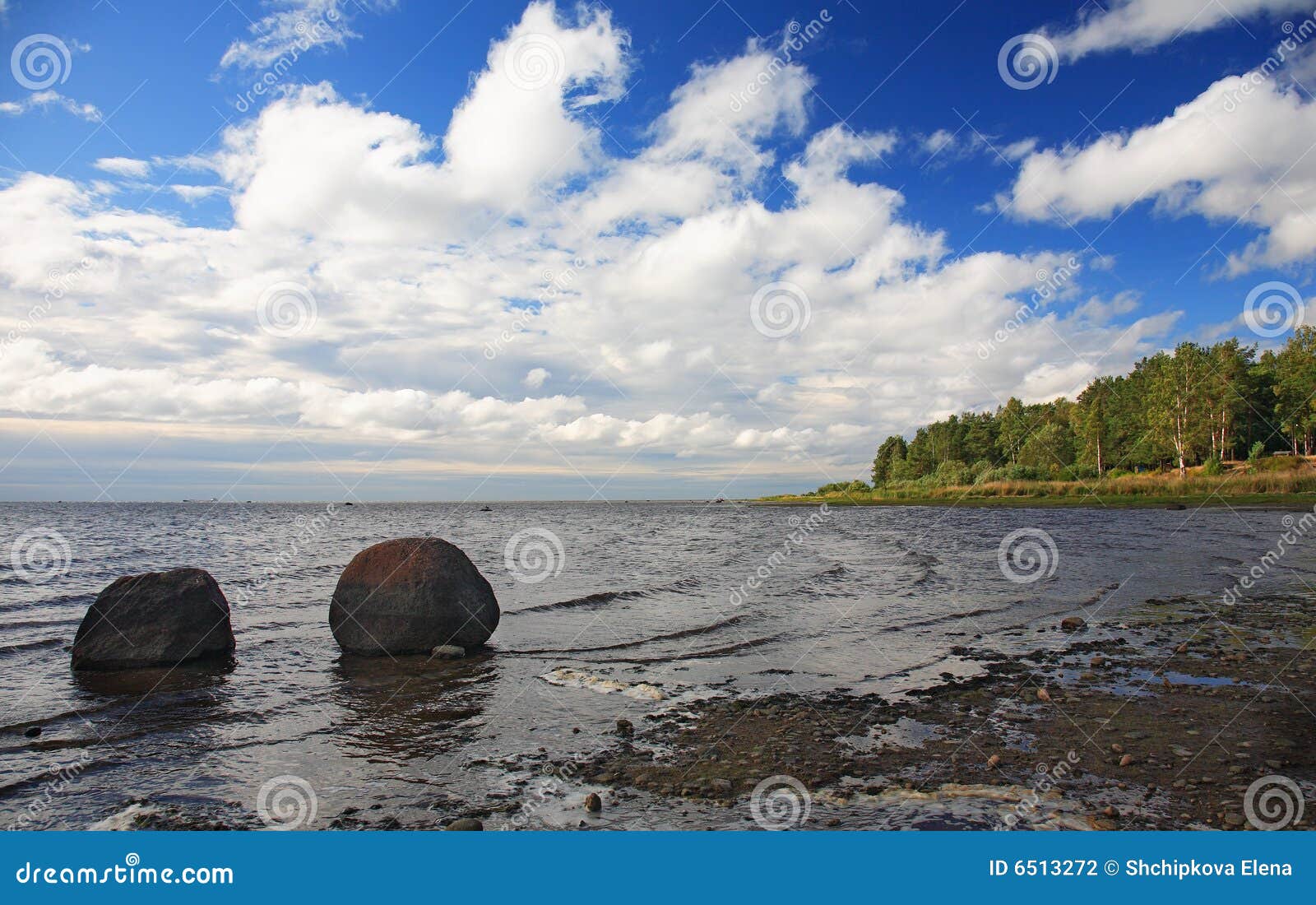 Gulf of Finland, coast stock photo. Image of water, landscape - 6513272