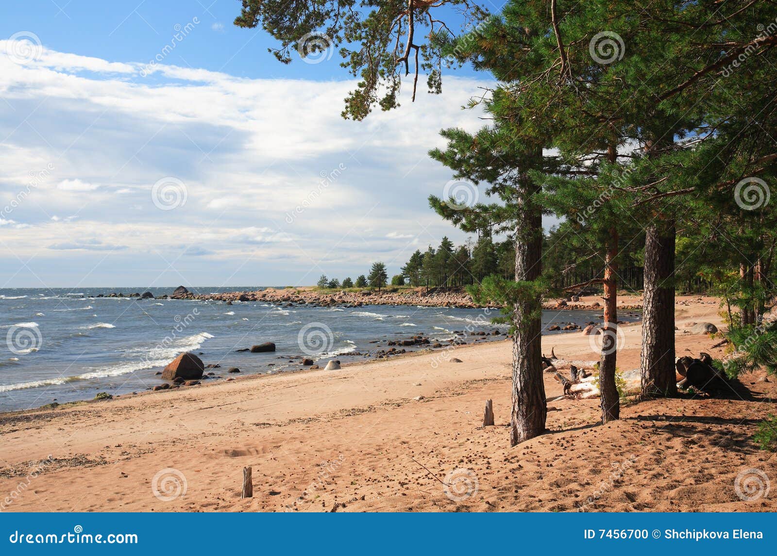 Gulf of Finland, coast stock photo. Image of area, autumn - 7456700