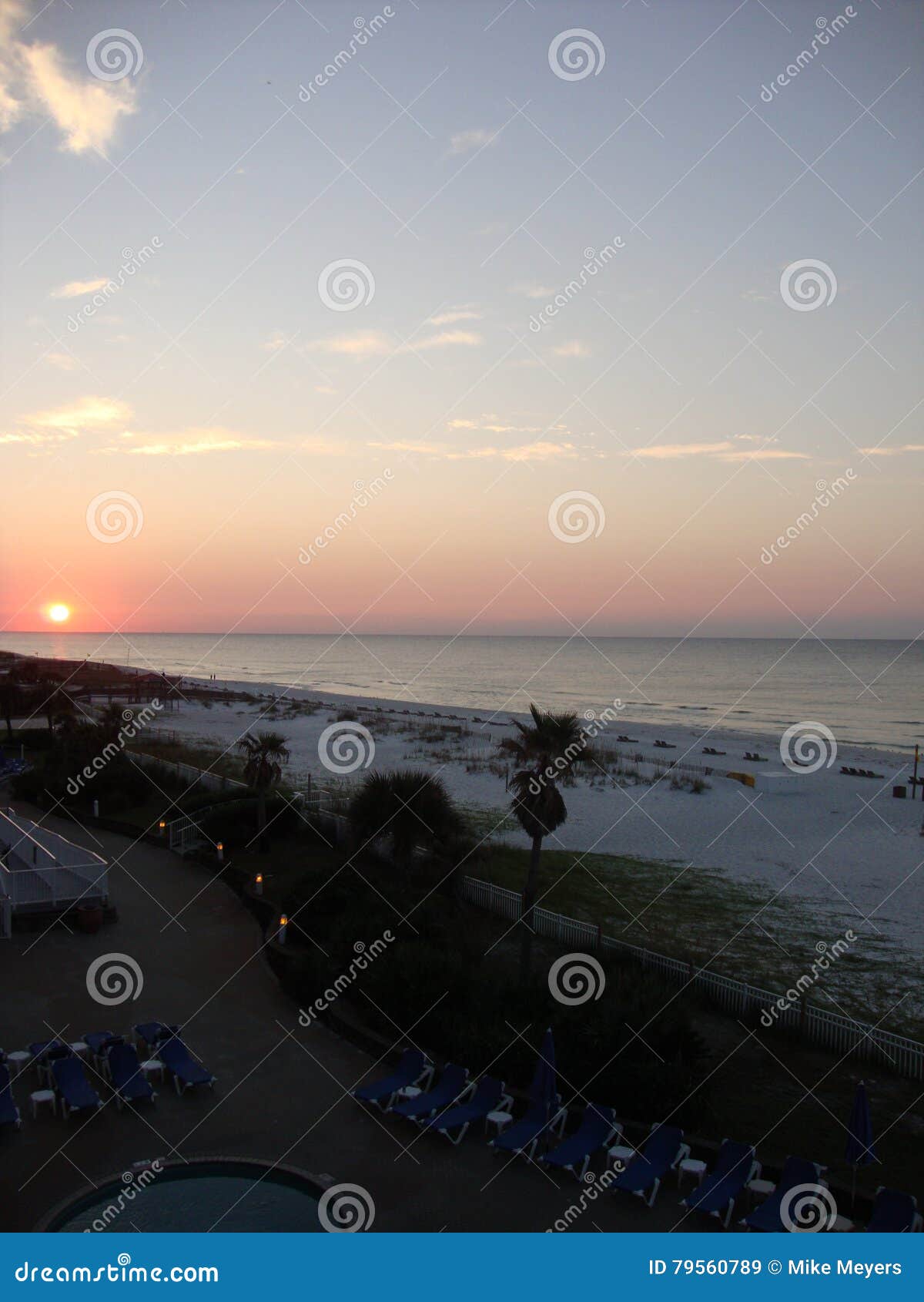 Gulf of Mexico Sunset stock image. Image of beach, trees - 79560789