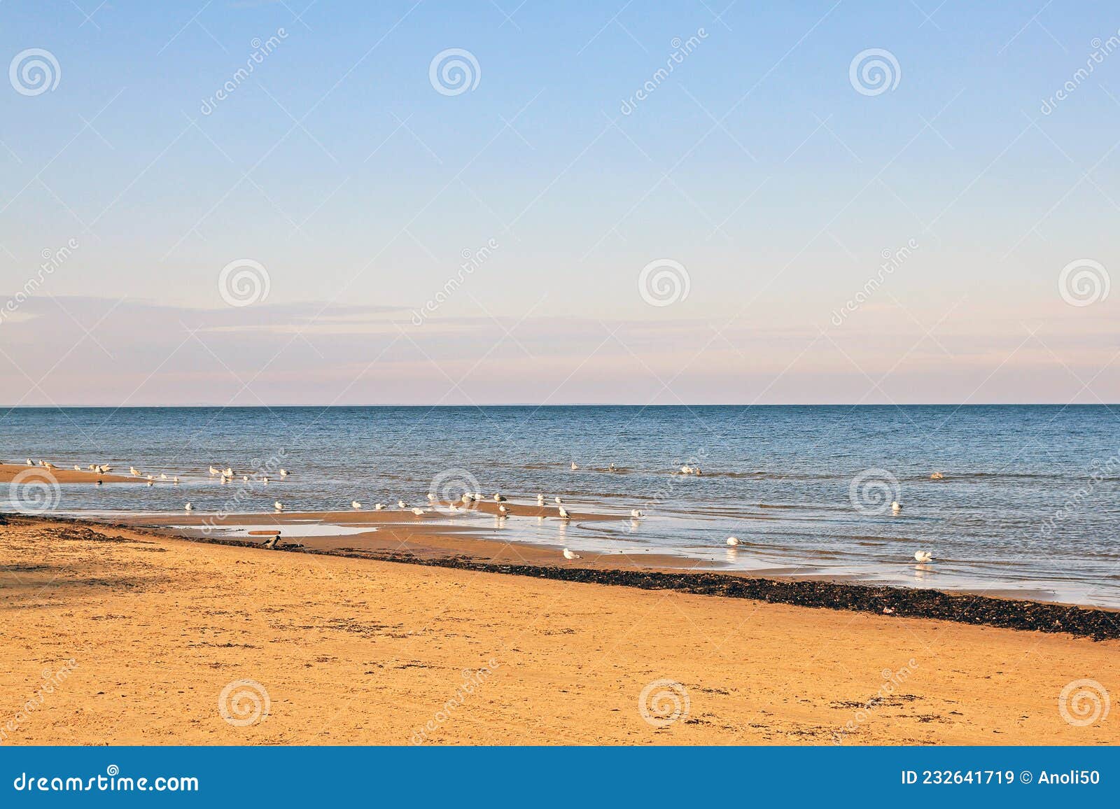 Gulf of Riga stock image. Image of gulf, voyage, summer - 232641719