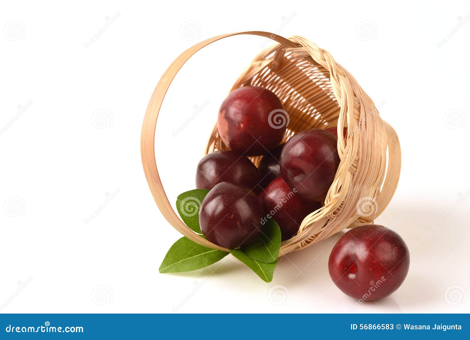 Gulf Ruby Plum. Stock Image | CartoonDealer.com #56867113