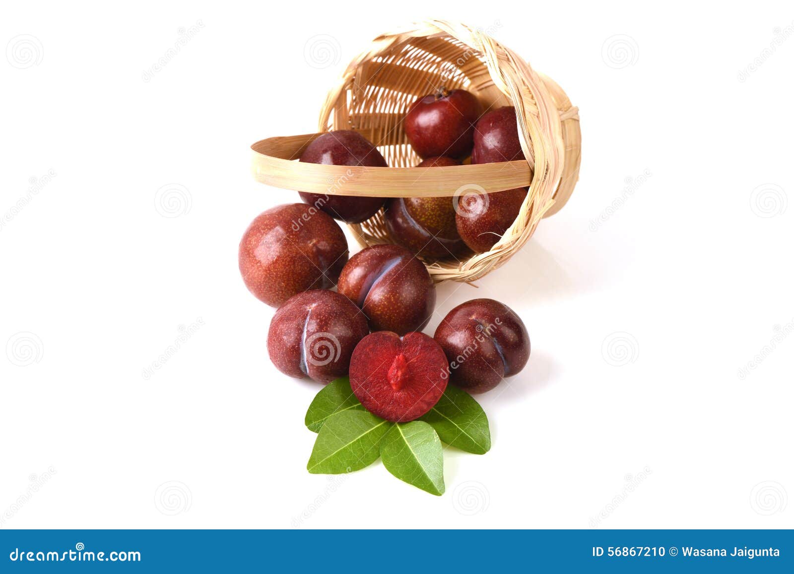 Gulf ruby plum. stock photo. Image of ruby, plant, ripe - 56867210