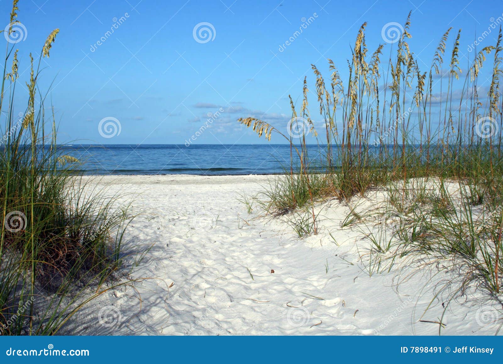 Gulf View stock image. Image of view, walkway, gulf, madeira - 7898491