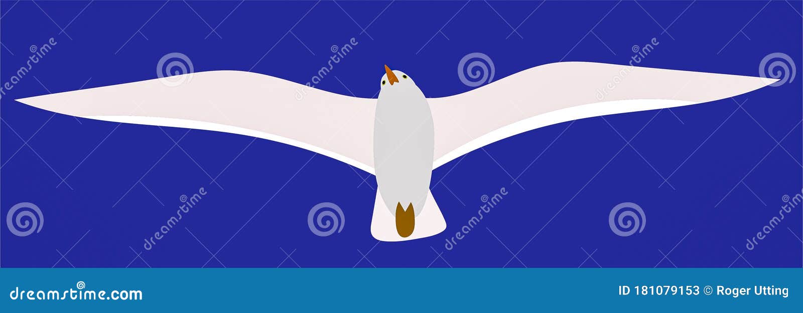 Gull flying icon stock illustration. Illustration of gull - 181079153