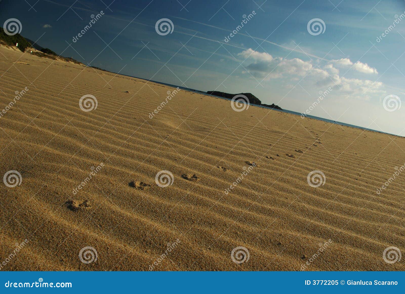 Gull Footprints at Chia Beach Stock Image - Image of water, violet: 3772205