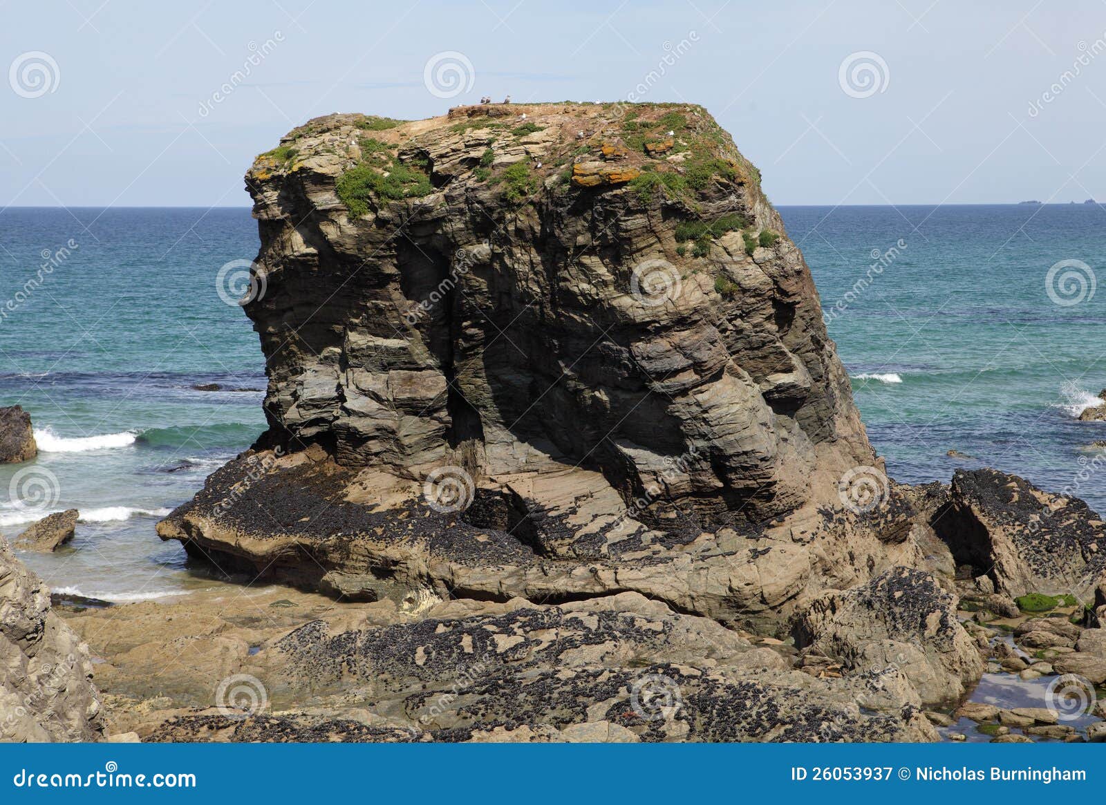Gull Rock, Porth Beach, Newquay, Cornwall Stock Image - Image of beach ...