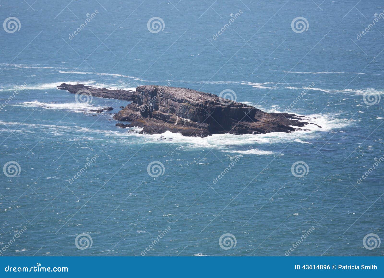 Gull Rock stock photo. Image of gull, beach, travel, recreation - 43614896