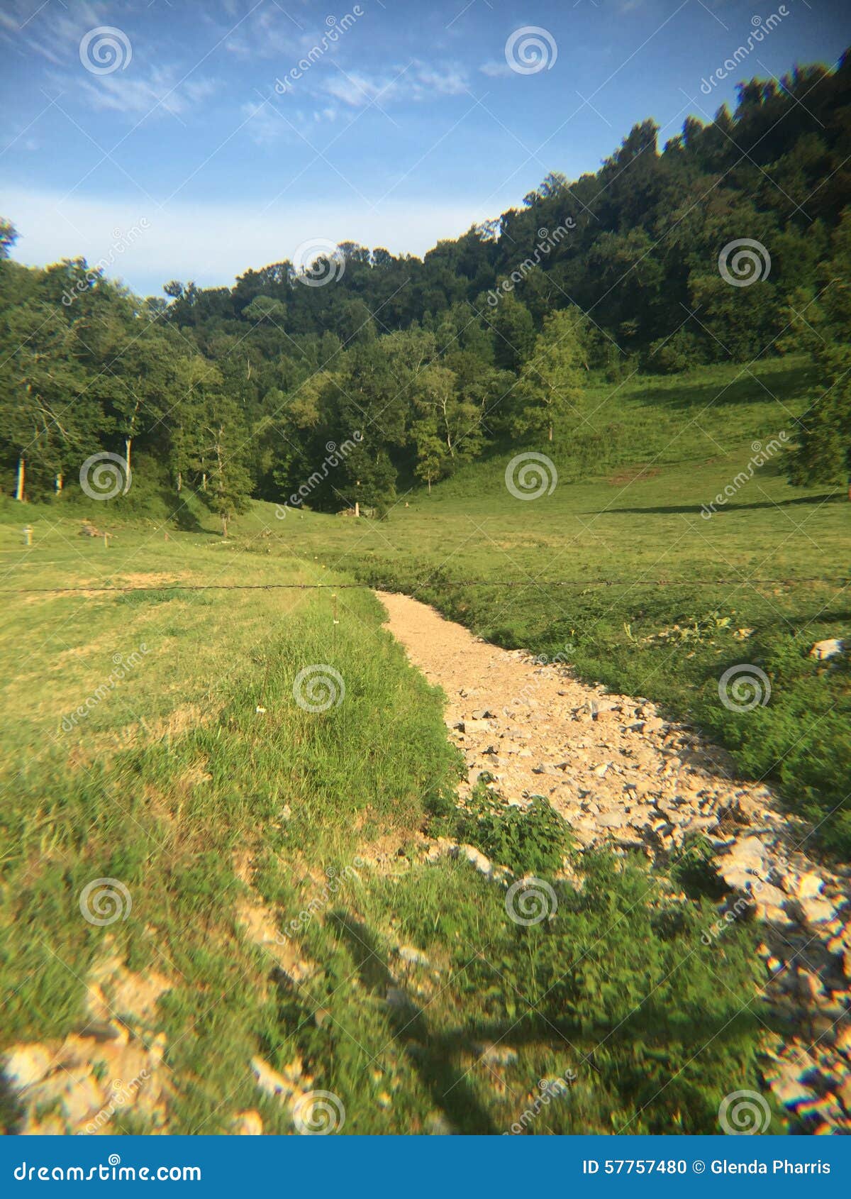 Gulley stock photo. Image of rocks, country, separates - 57757480