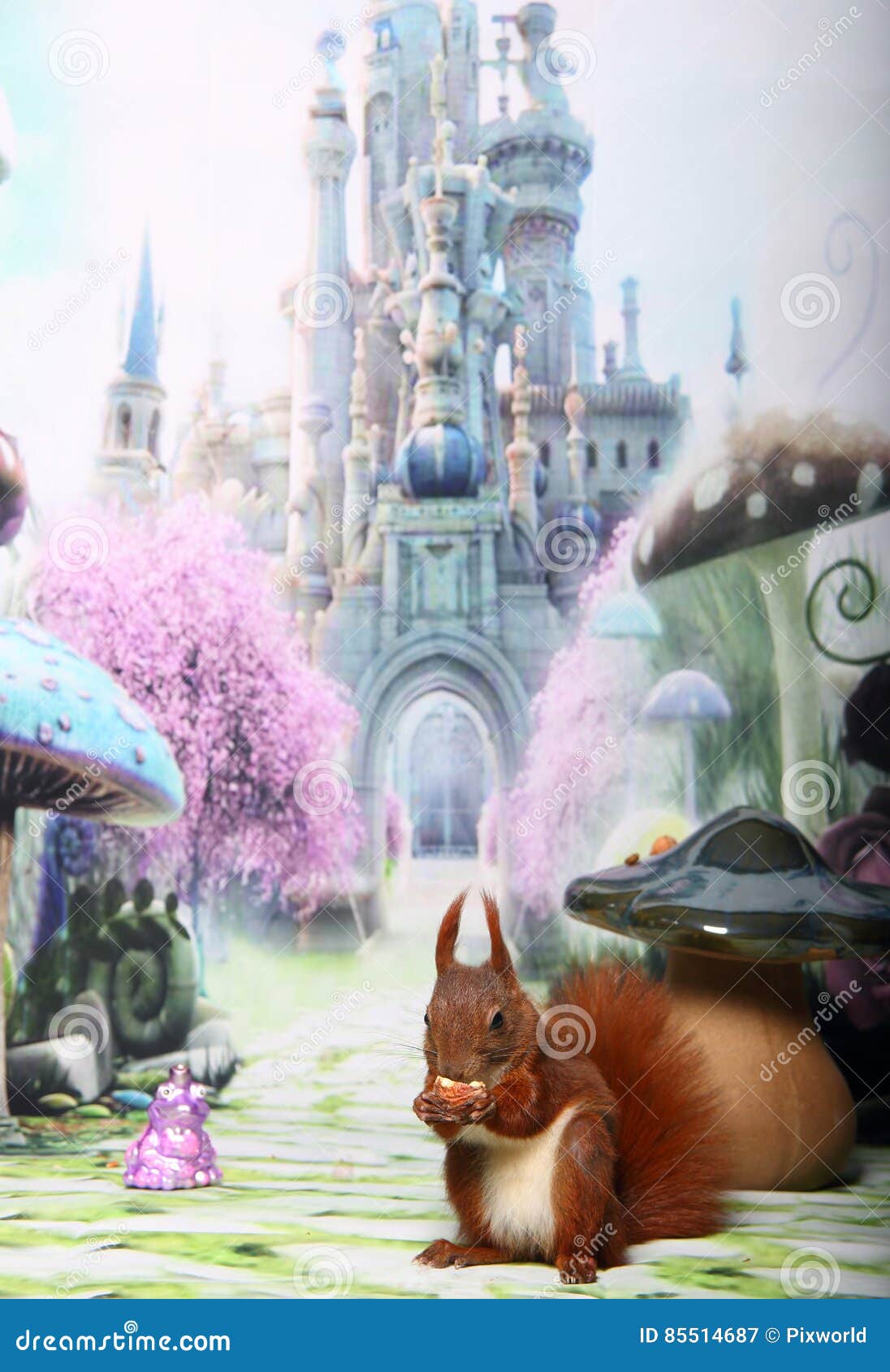 Gullig ekorre fotografering för bildbyråer. Bild av gräva - 85514687