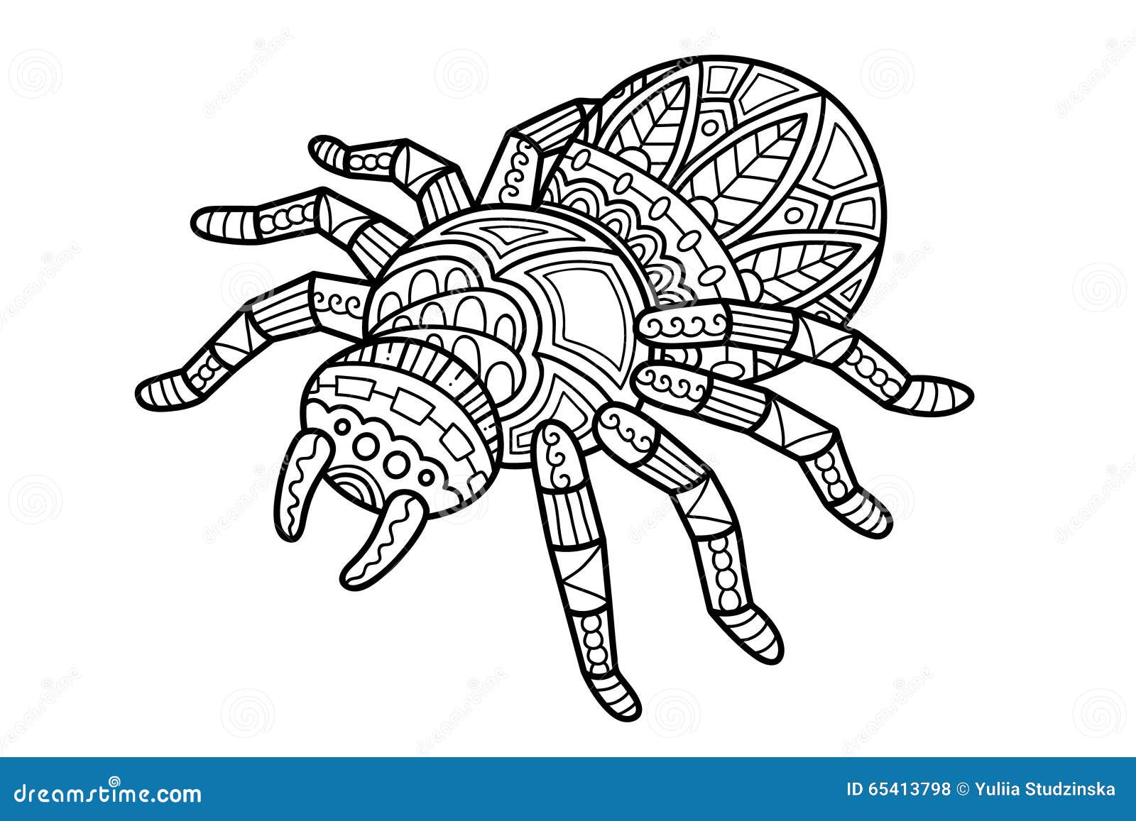 Gullig spindel vektor illustrationer. Illustration av afrikansk - 65413798 Gullig spindel vektor illustrationer. Illustration av afrikansk - 65413798