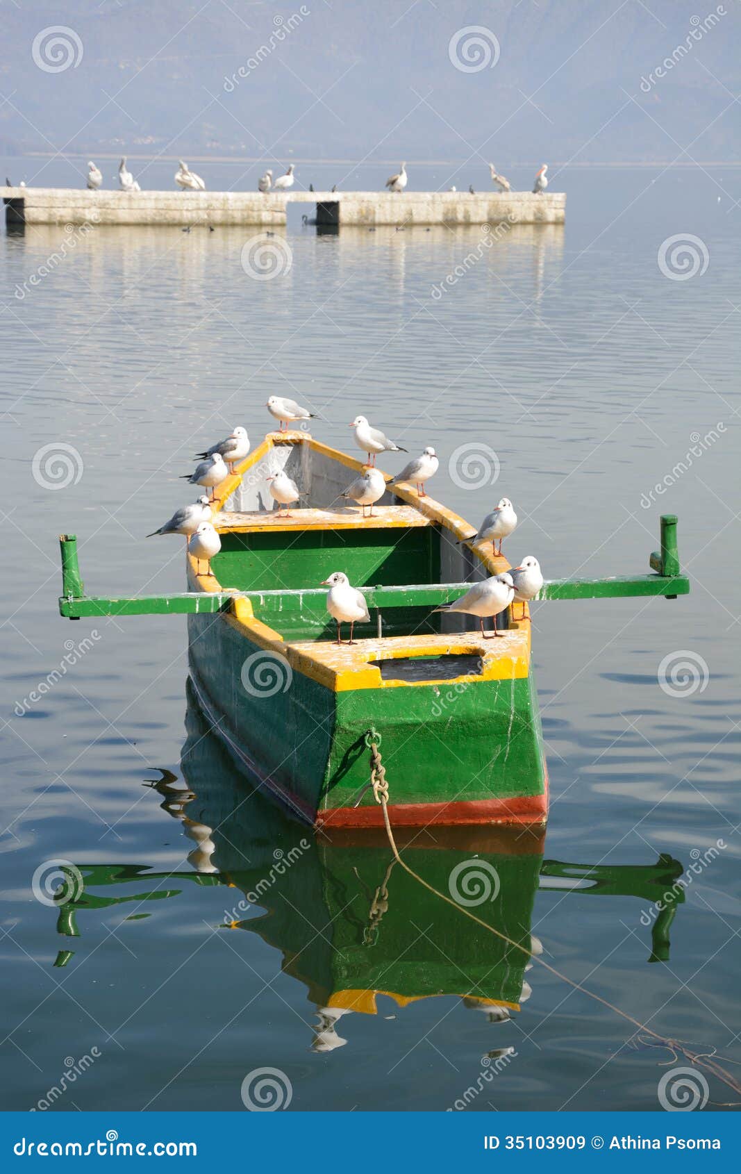 Gulls on a boat stock image. Image of kastoria, coast - 35103909