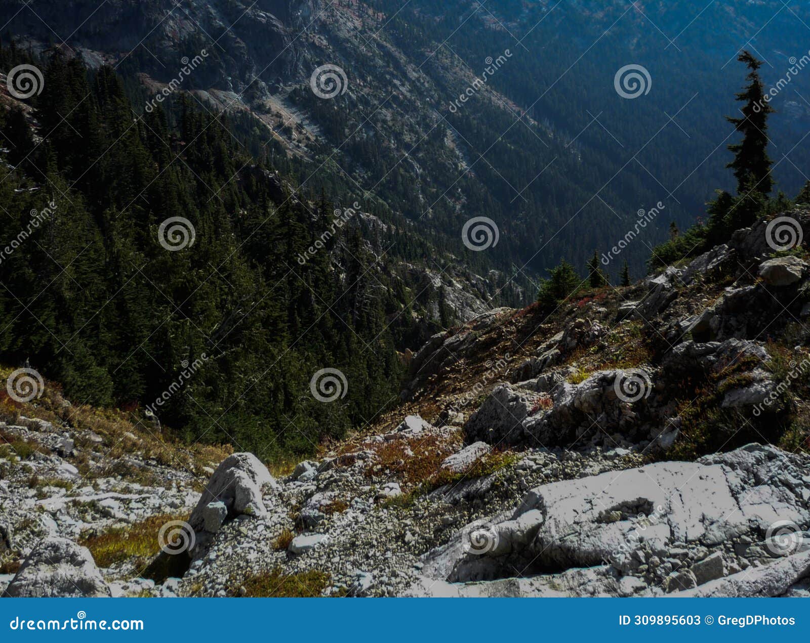 Gully Below Mount Daniel South Ridge, Alpine Lakes Wilderness ...