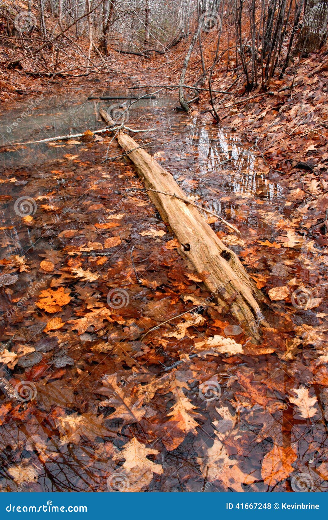 Gully stock photo. Image of colorful, filled, idyllic - 41667248