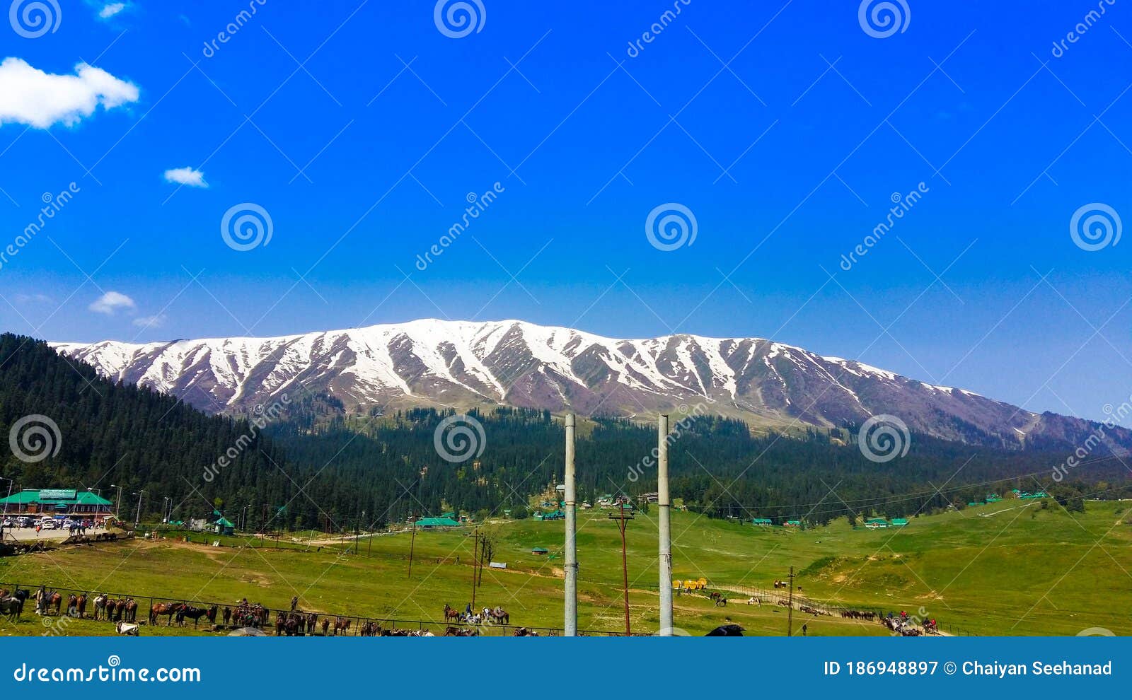 Gulmarg is a Town, a Hill Station, a Popular Skiing Destination and a ...