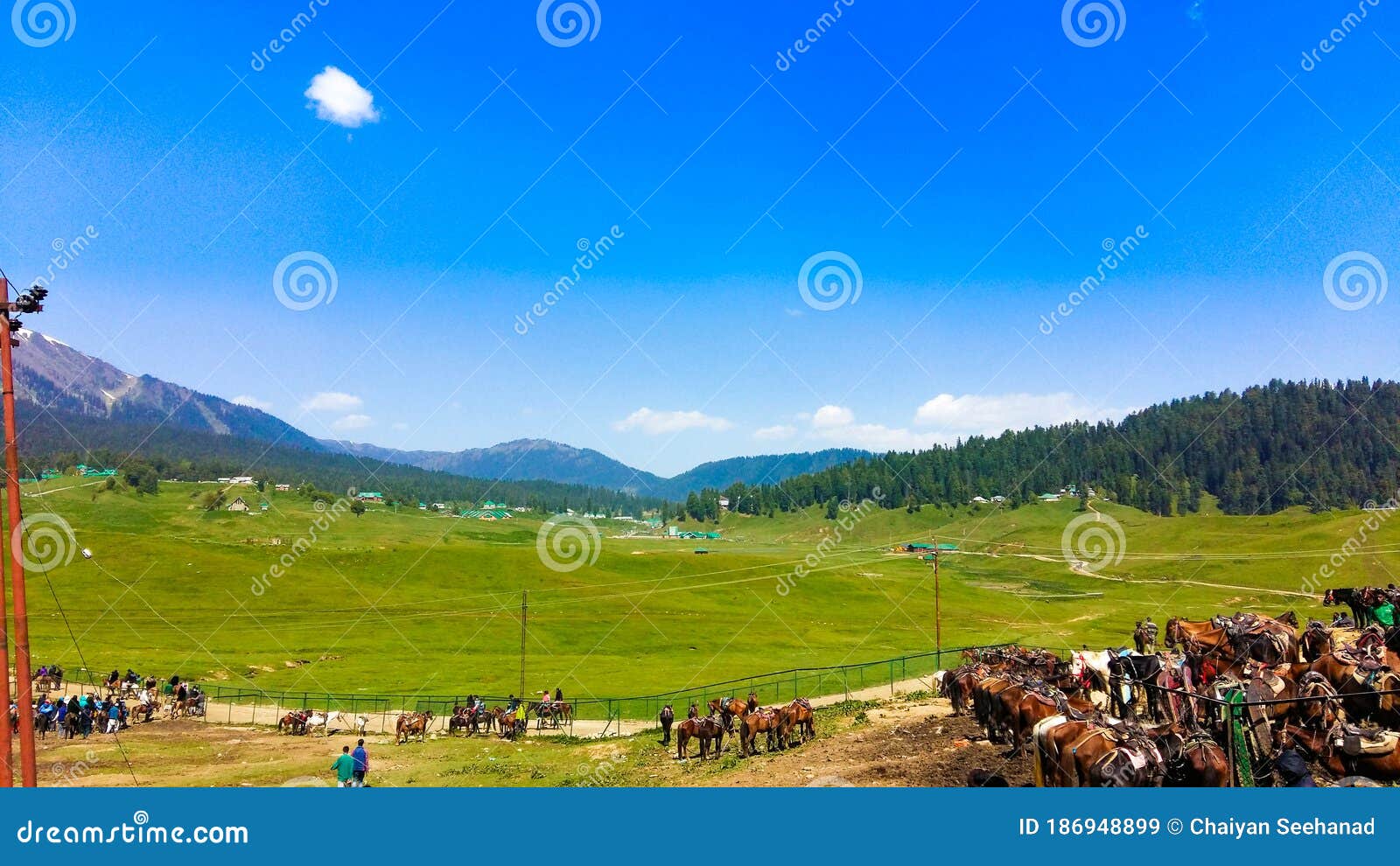 Gulmarg is a Town, a Hill Station, a Popular Skiing Destination and a ...