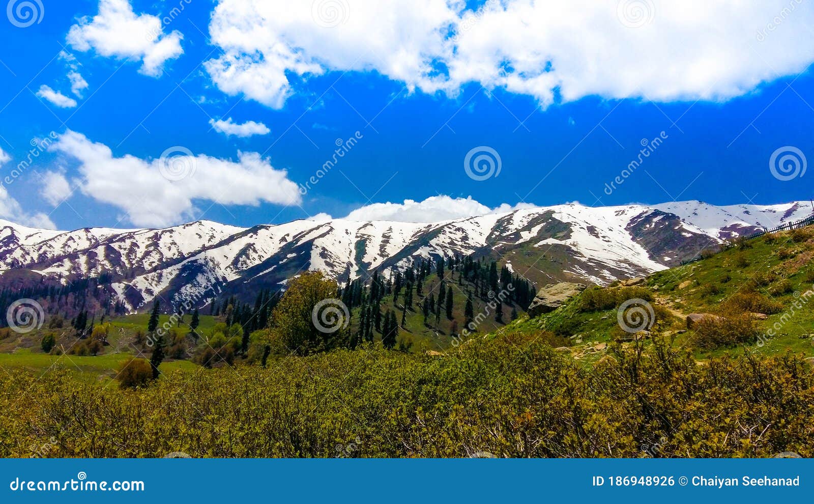 Gulmarg, a Hill Station, a Popular Skiing Destination and a Notified ...