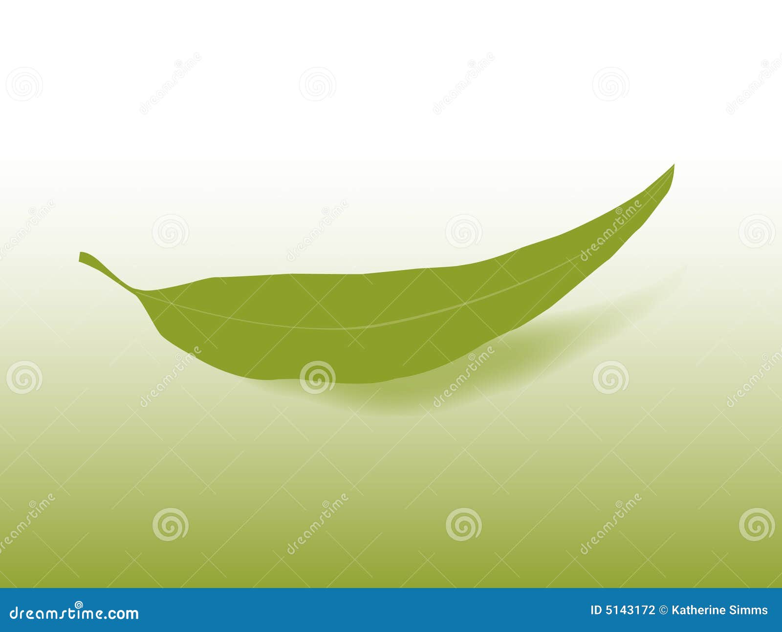 Gum Leaf Vector Illustration | CartoonDealer.com #5143172