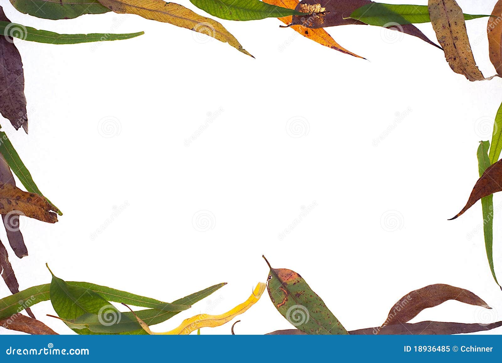 Gum Leaf Border Royalty Free Stock Photo - Image: 18936485