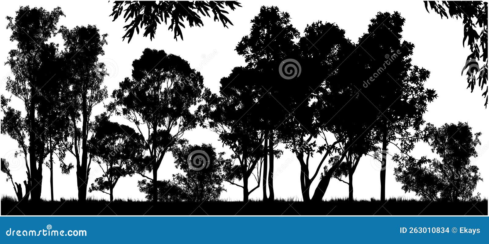Gum Trees in Black and White Background Stock Vector - Illustration of ...