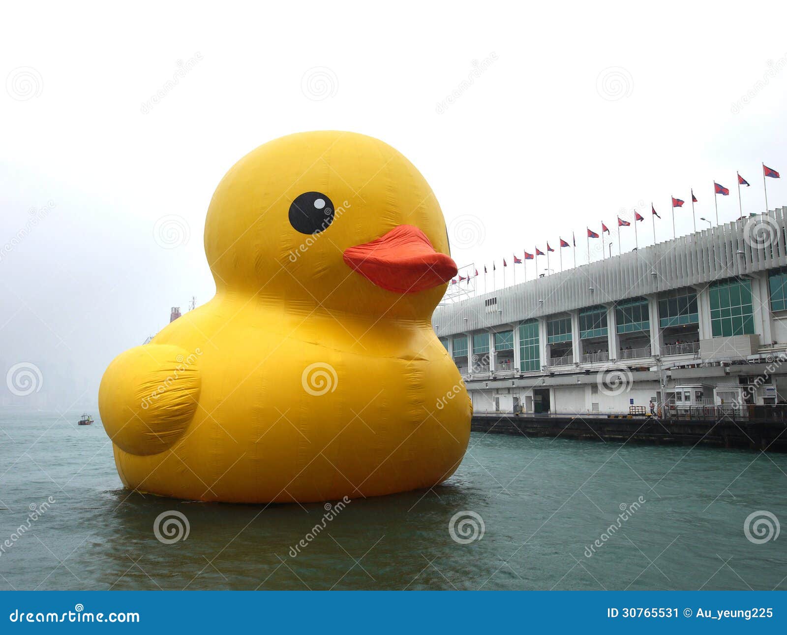 Gummi-Duck Project in Hong Kong Redaktionelles Foto - Bild von beifall ...