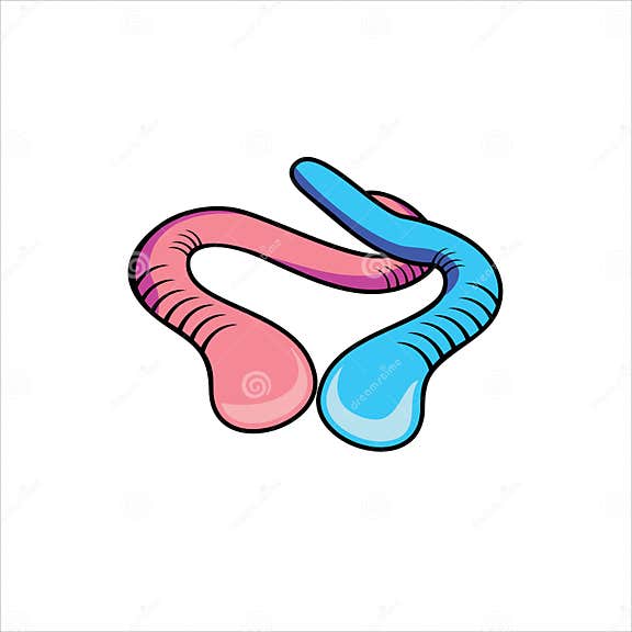 Gummy worm vector stock vector. Illustration of candy - 158030557