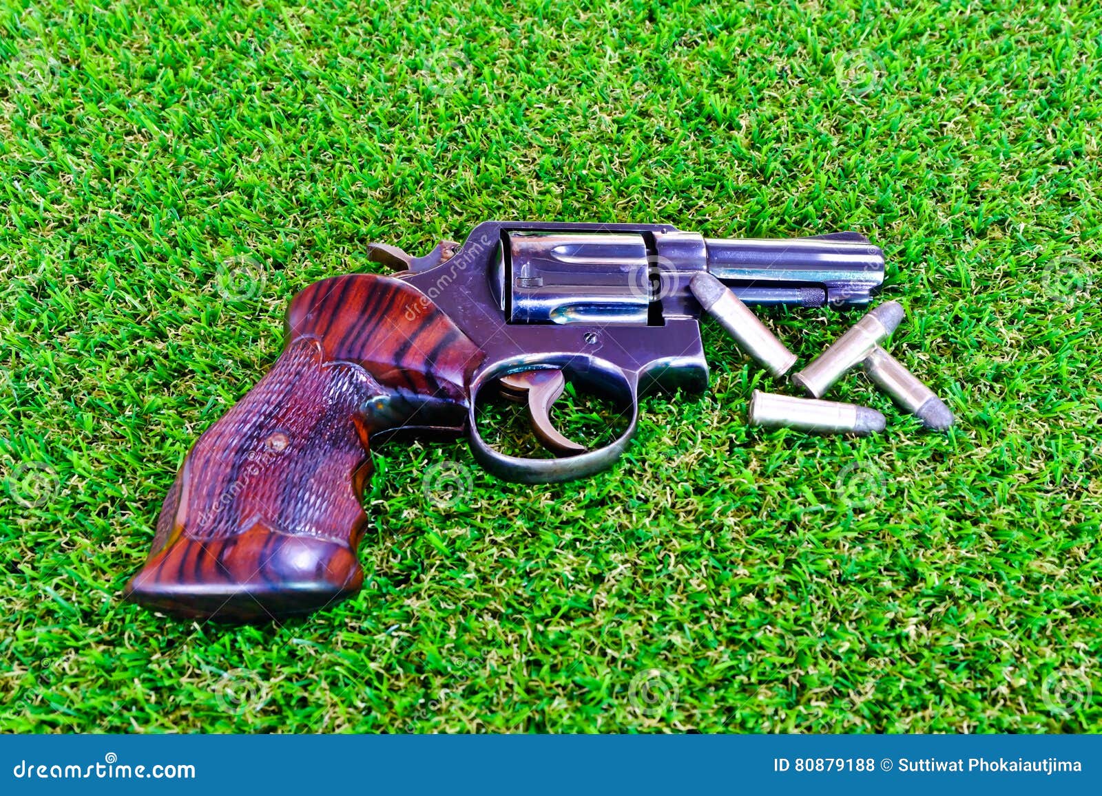 The gun on the grass stock photo. Image of revolver, object - 80879188