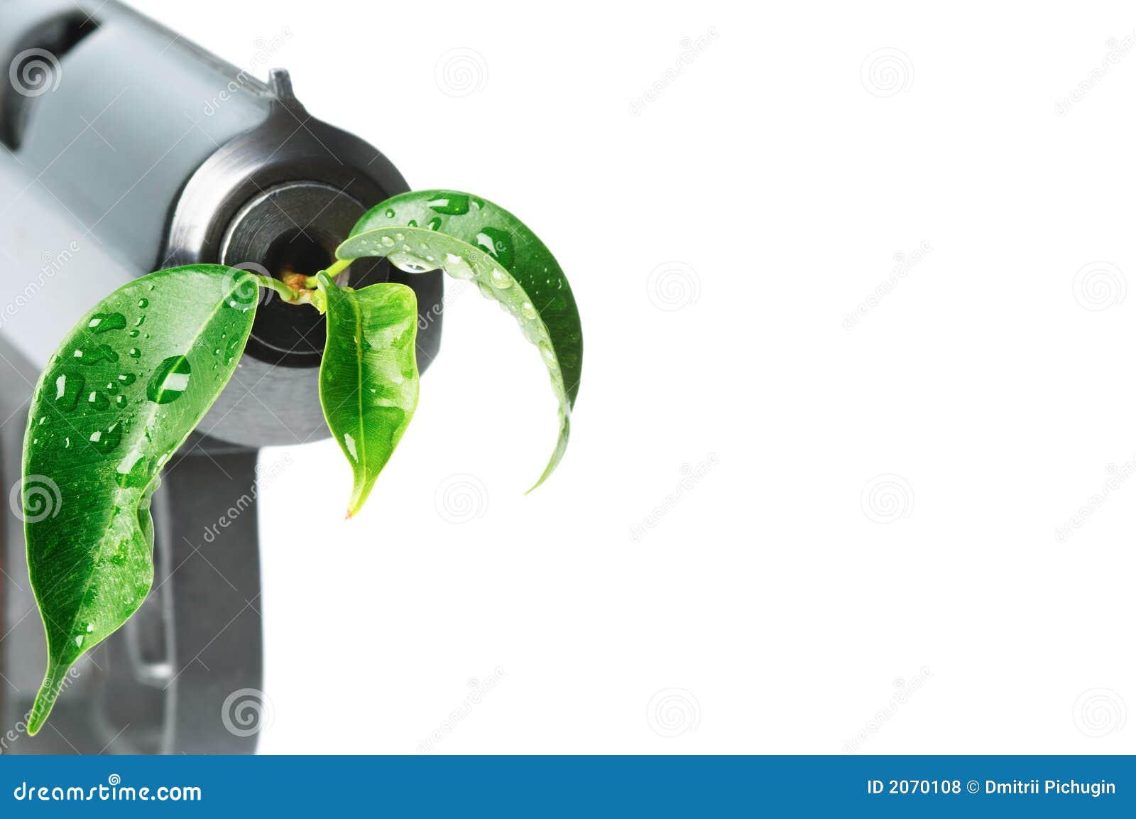 Gun with Green Leaf in Barrel Stock Photo - Image of barrel, drops: 2070108