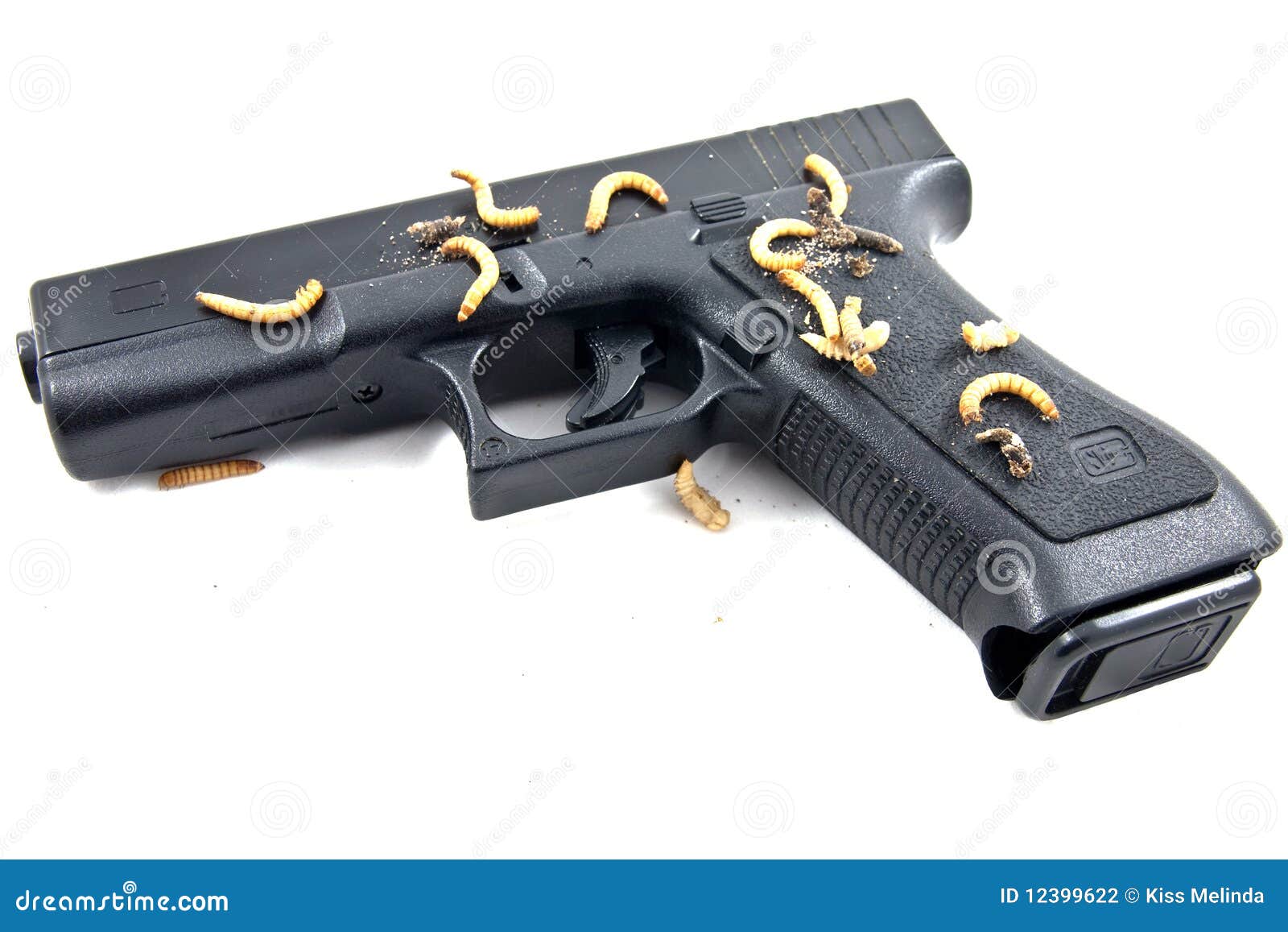 Gun with insects stock photo. Image of murderer, thriller - 12399622