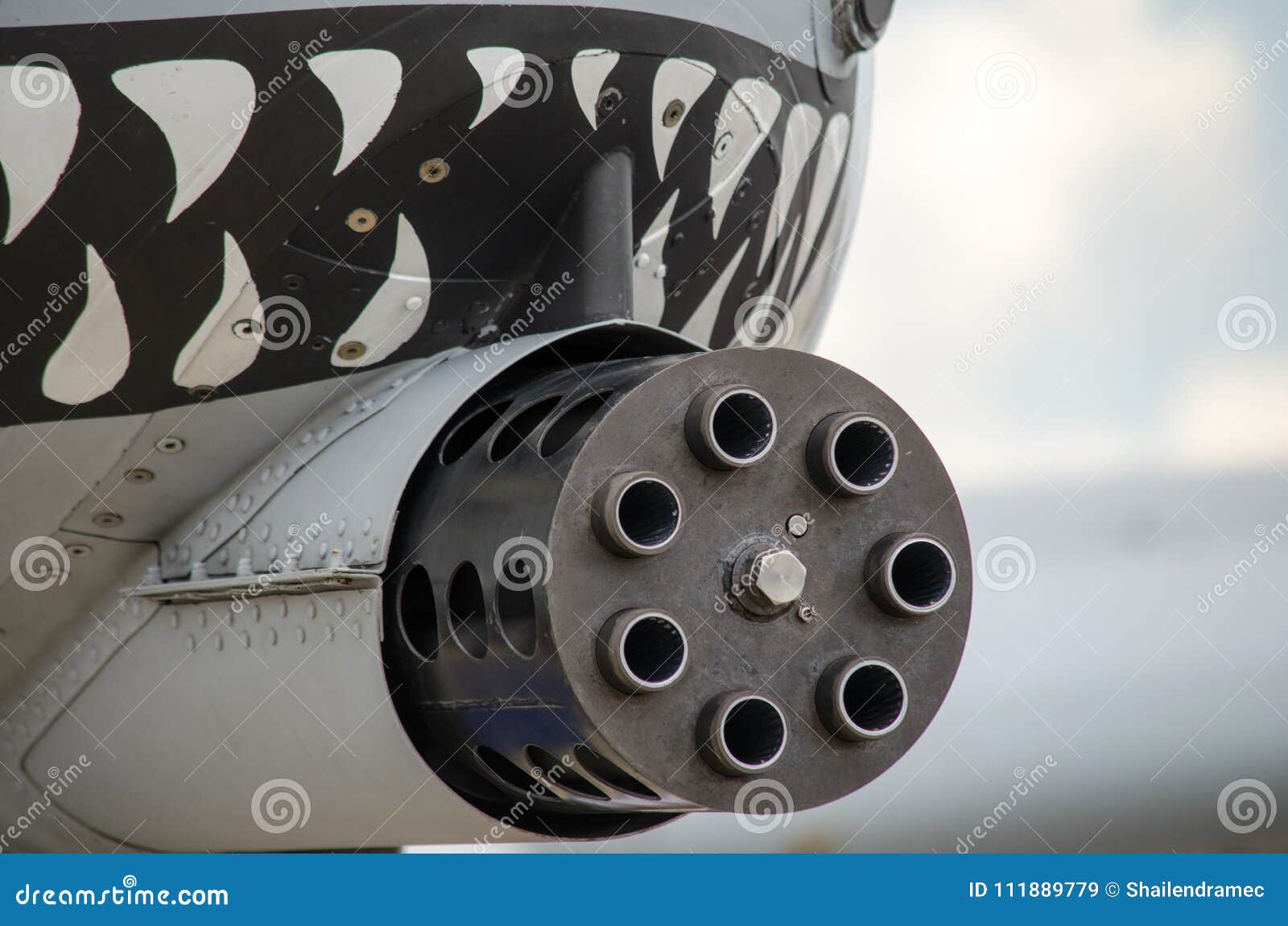 Gun Mounted on Military Aircraft Stock Image - Image of fight, mounted ...