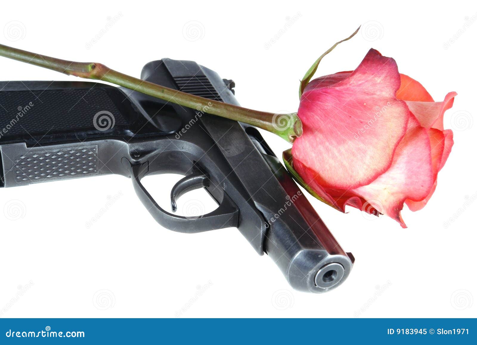 Gun and rose stock image. Image of flower, petals, colt - 9183945