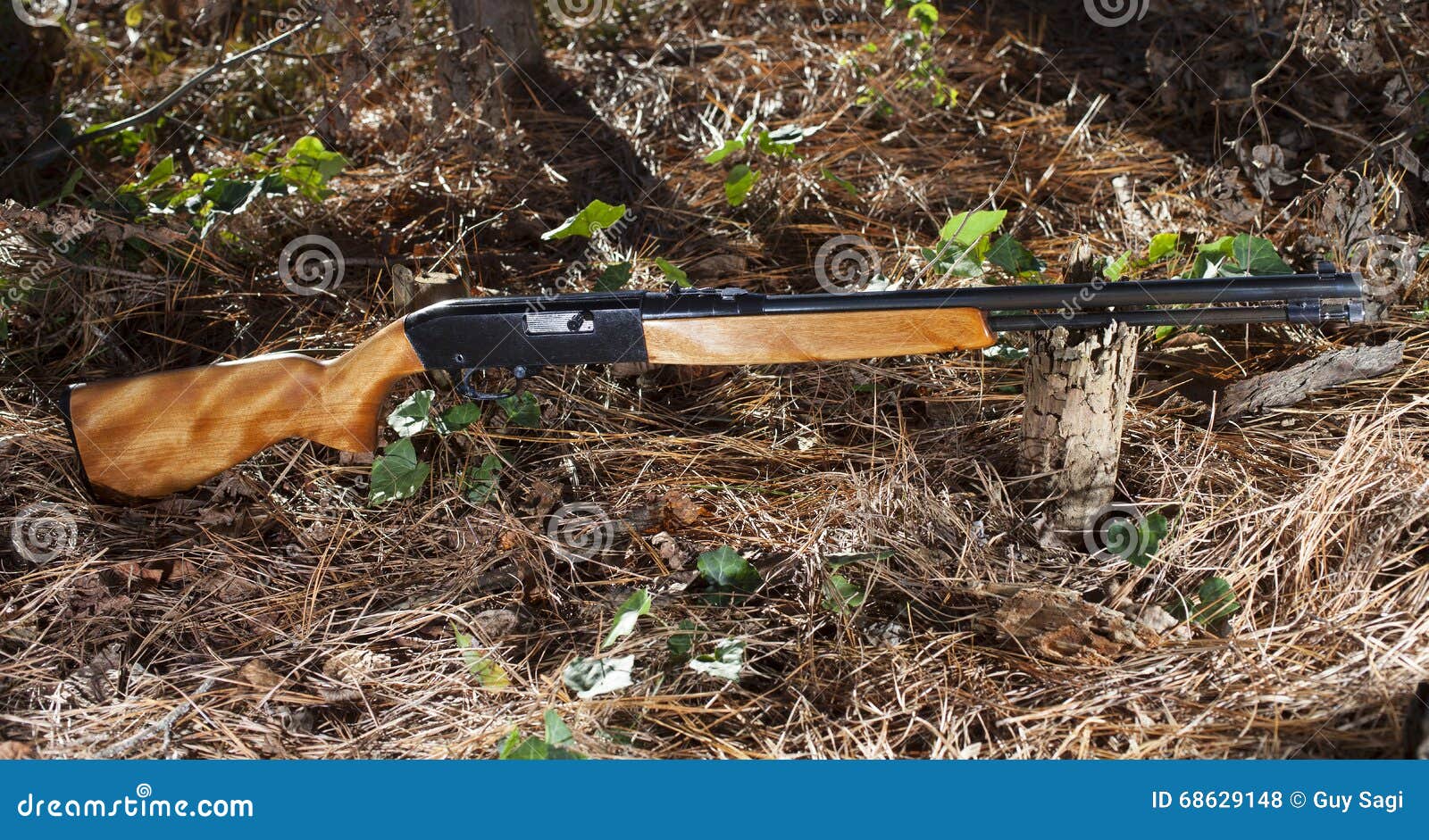Gun in the woods stock photo. Image of forest, rifle - 68629148