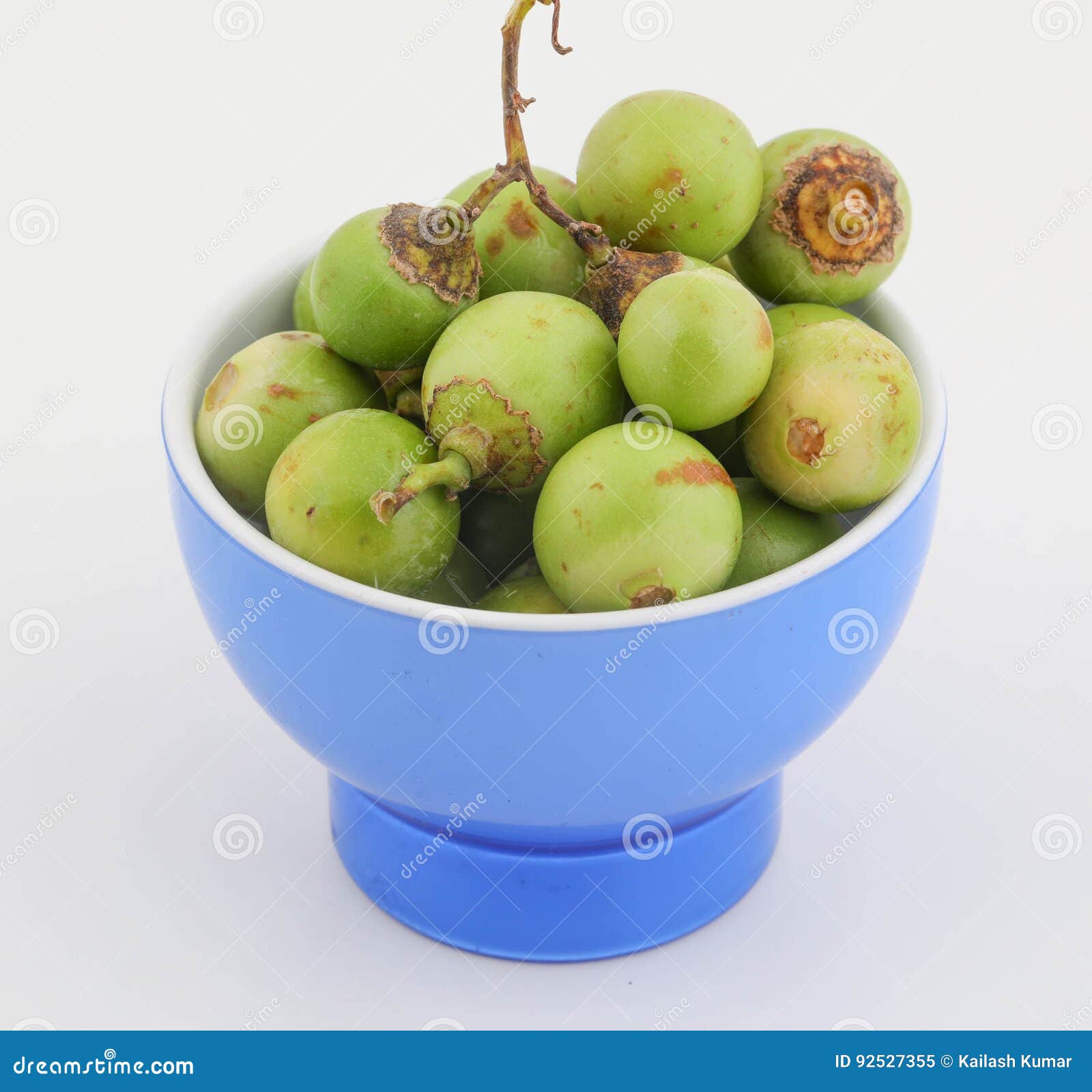 Gunda gumberry stock image. Image of herbal, gummy, cherry - 92527355