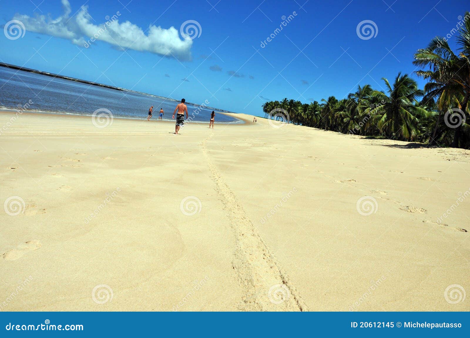 Gunga beach editorial image. Image of brazil, environment - 20612145