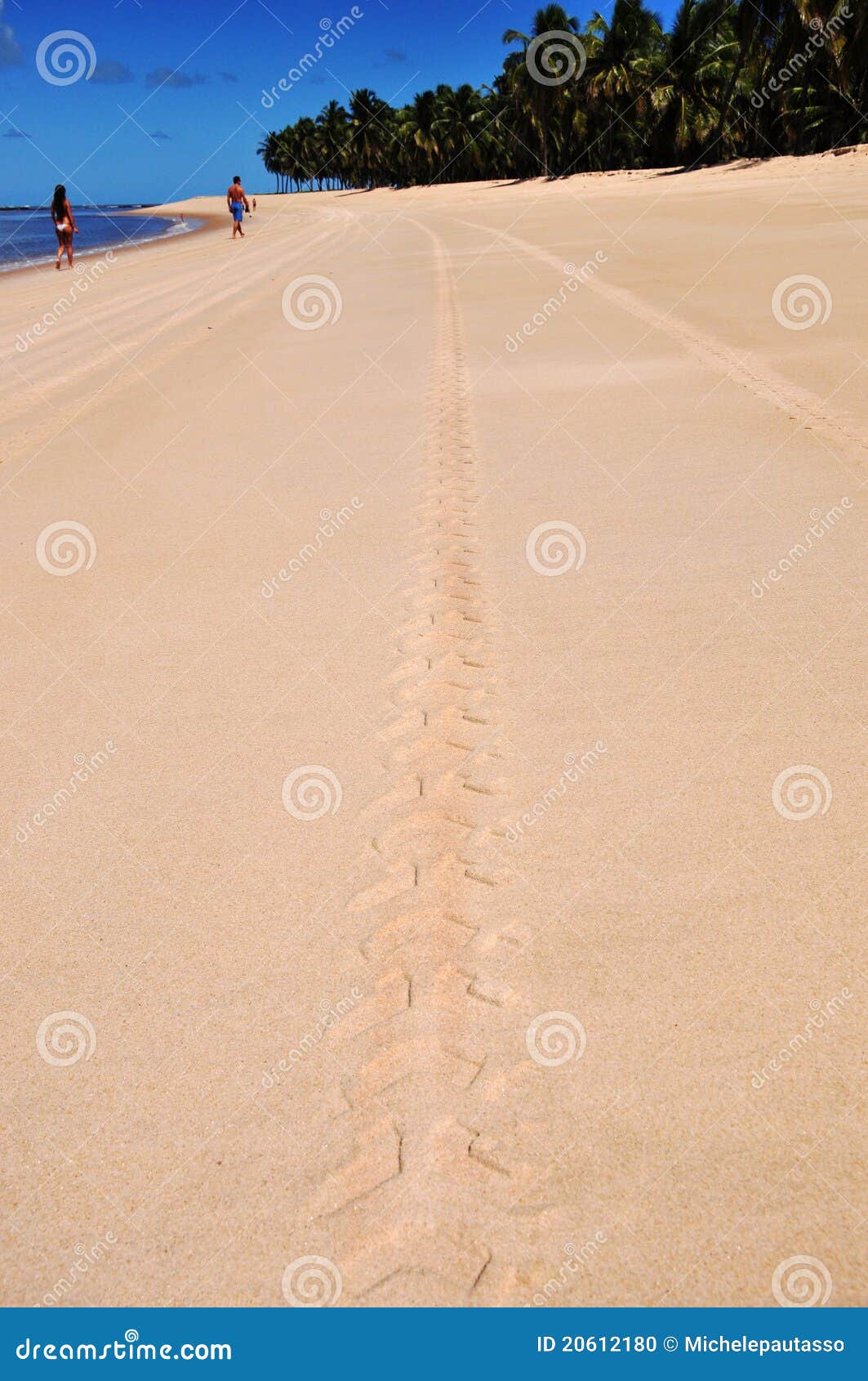 Gunga Beach Stock Photography | CartoonDealer.com #20612312