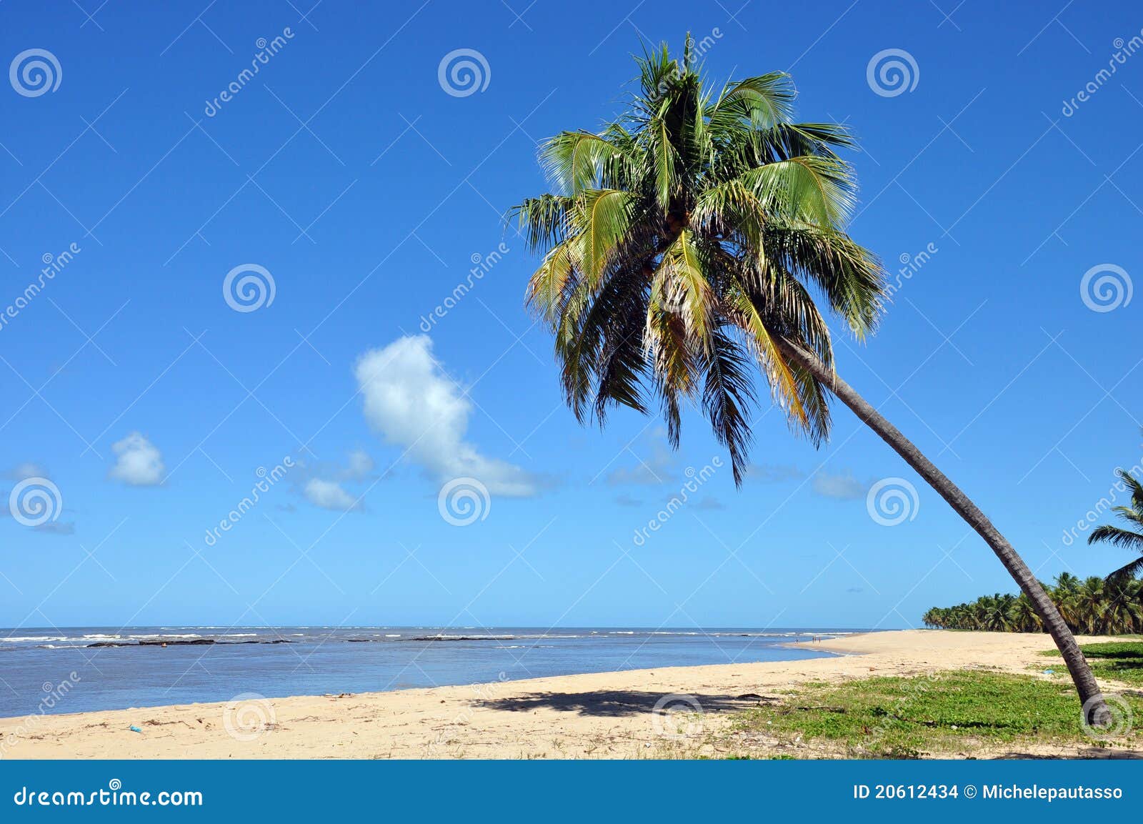 Gunga beach stock photo. Image of beach, nature, rock - 20612434