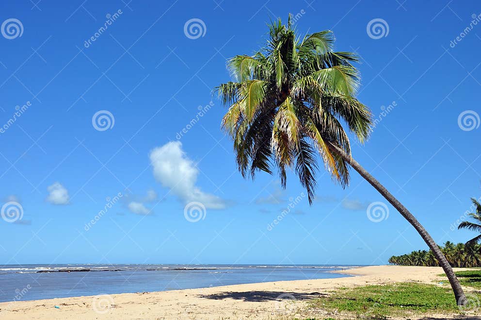 Gunga beach stock photo. Image of beach, nature, rock - 20612434