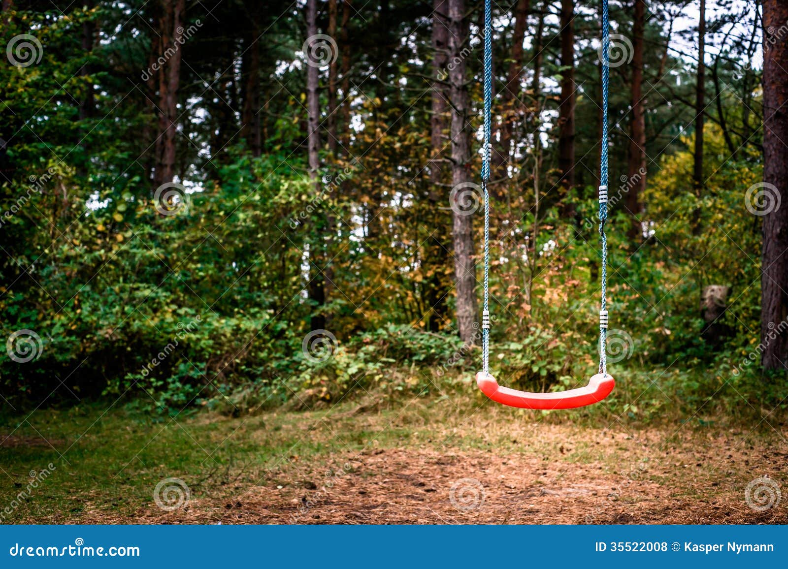 Gunga i skog arkivfoto. Bild av höst, njutning, speltid - 35522008